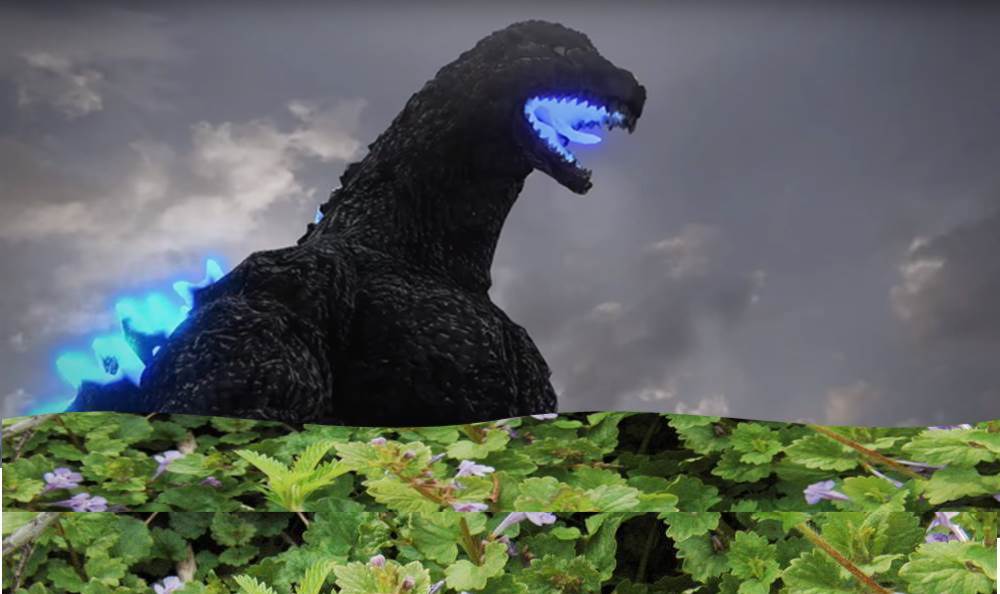 Gardening with Godzilla! | Trail Baboon
