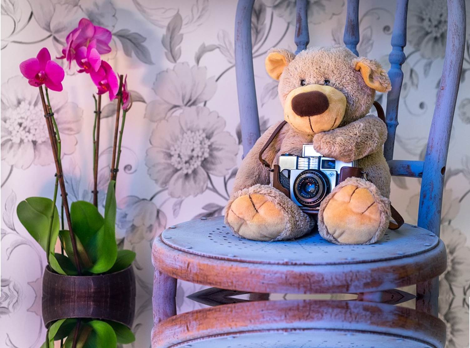 The Cruelest Month | Trail Baboon