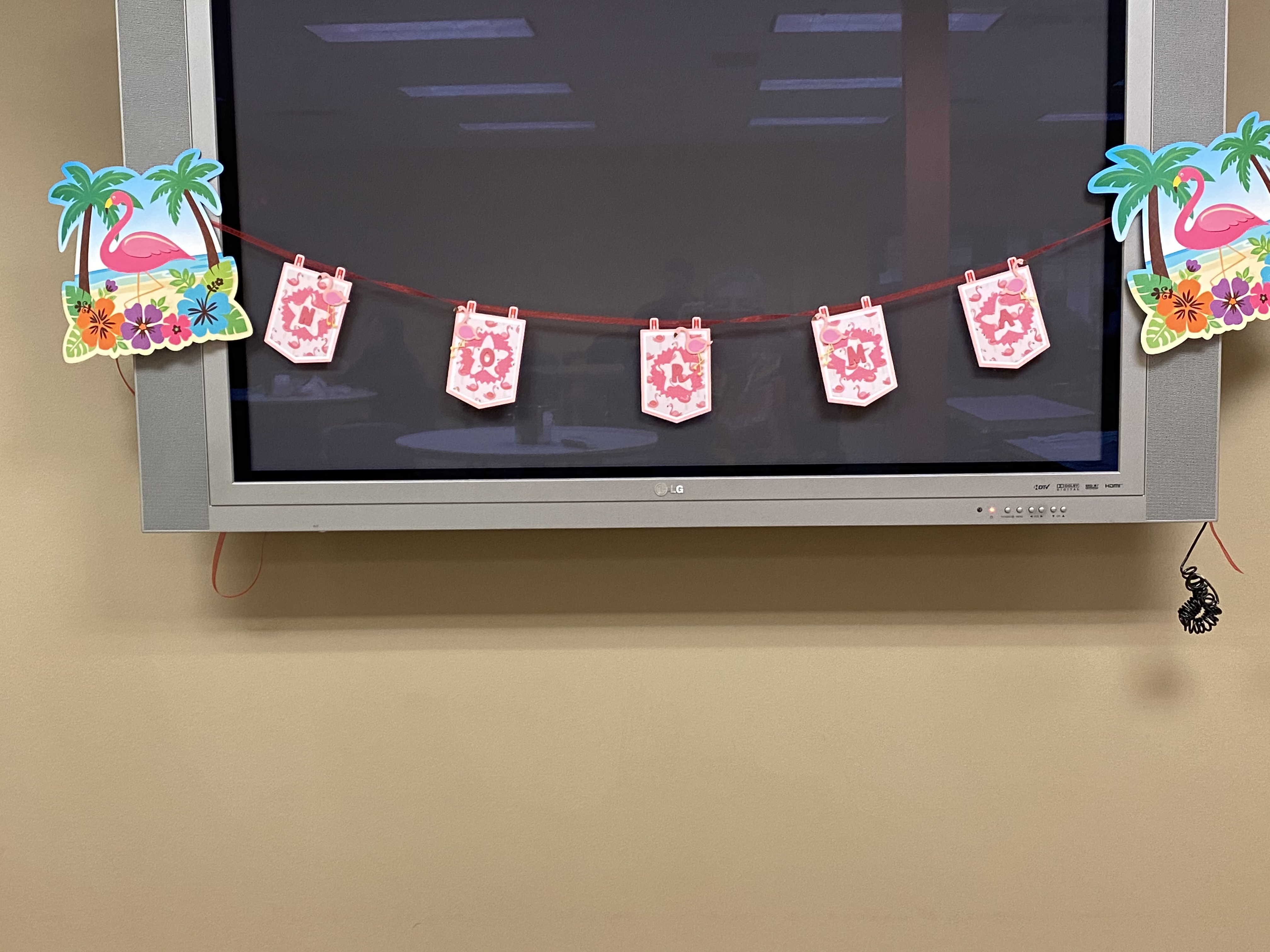 Birthday Party Extravaganza | Trail Baboon