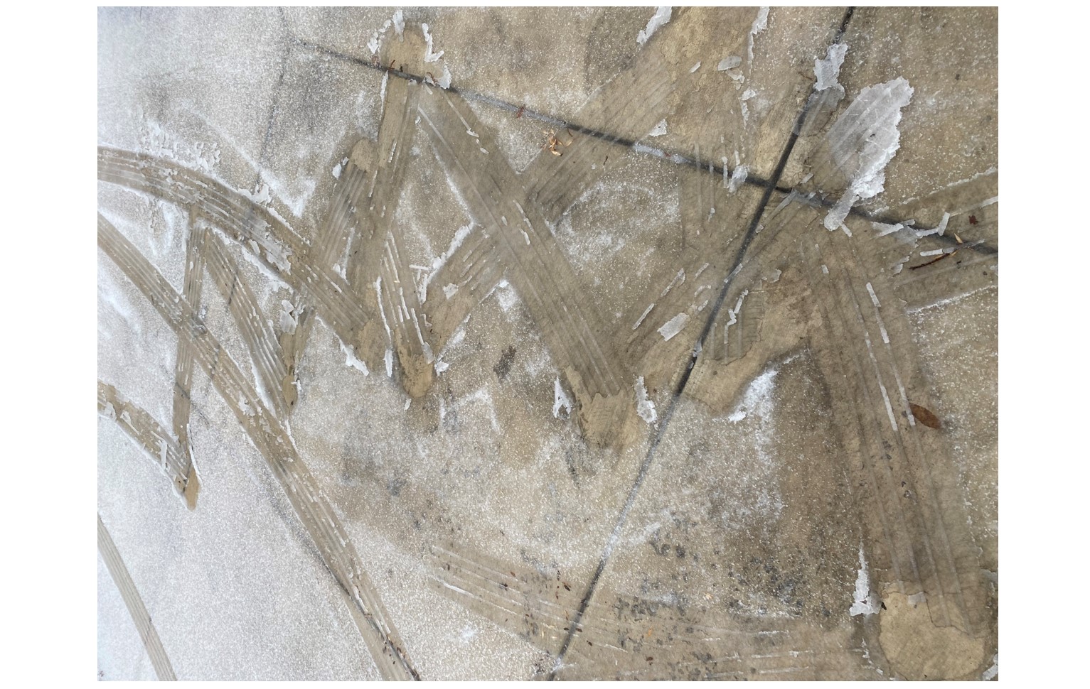Icy Art | Trail Baboon
