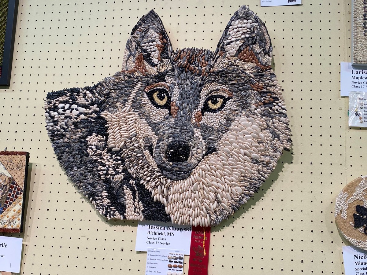 Crop Art Budgers | Trail Baboon