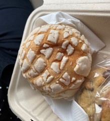 Holes in the Wall | Trail Baboon