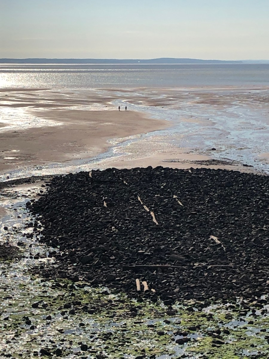 Preconceptions About Place | Trail Baboon