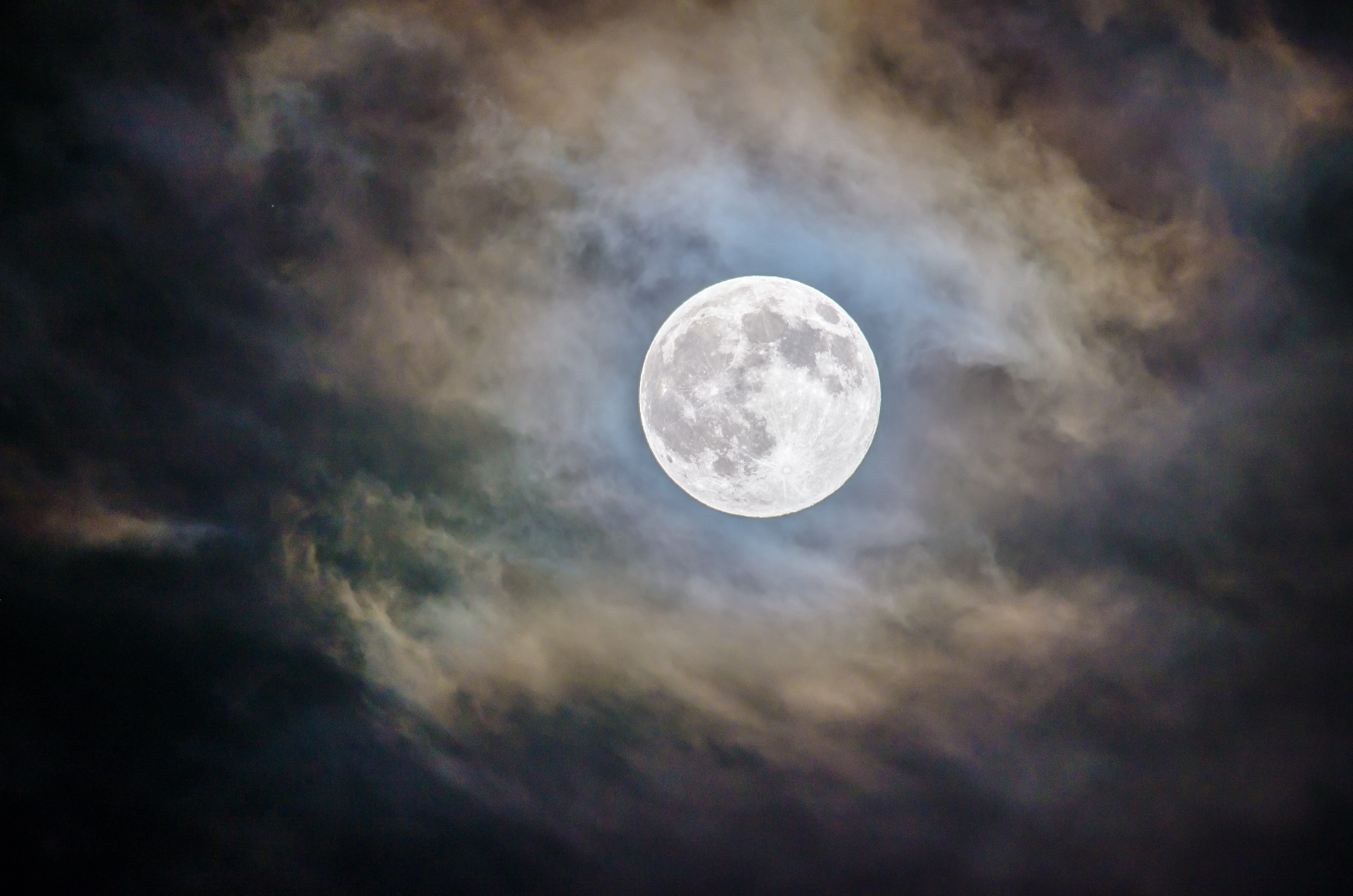 New Moon | Trail Baboon