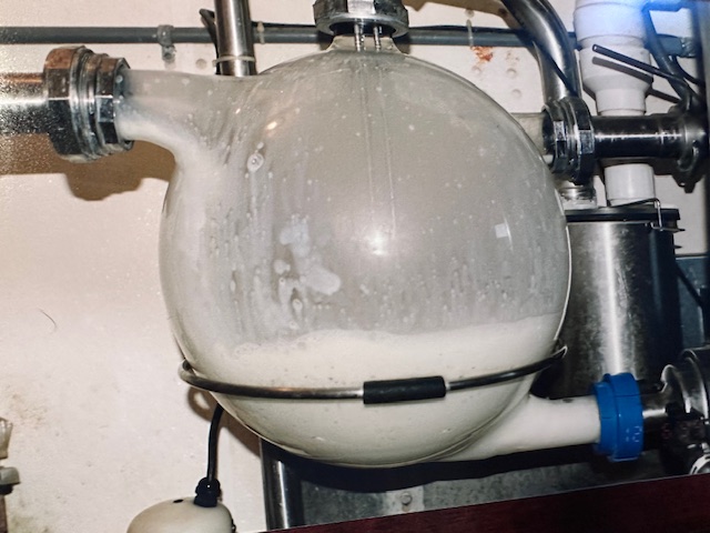 Heat! | Trail Baboon