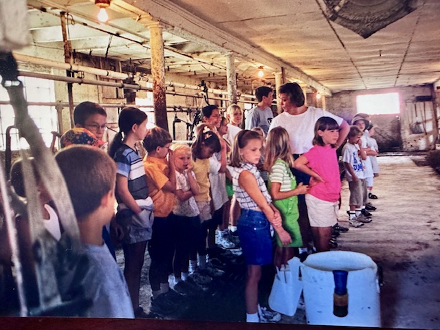 Heat! | Trail Baboon