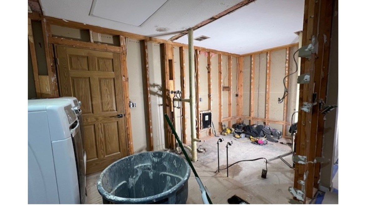 NOVUS INITIUM | Trail Baboon