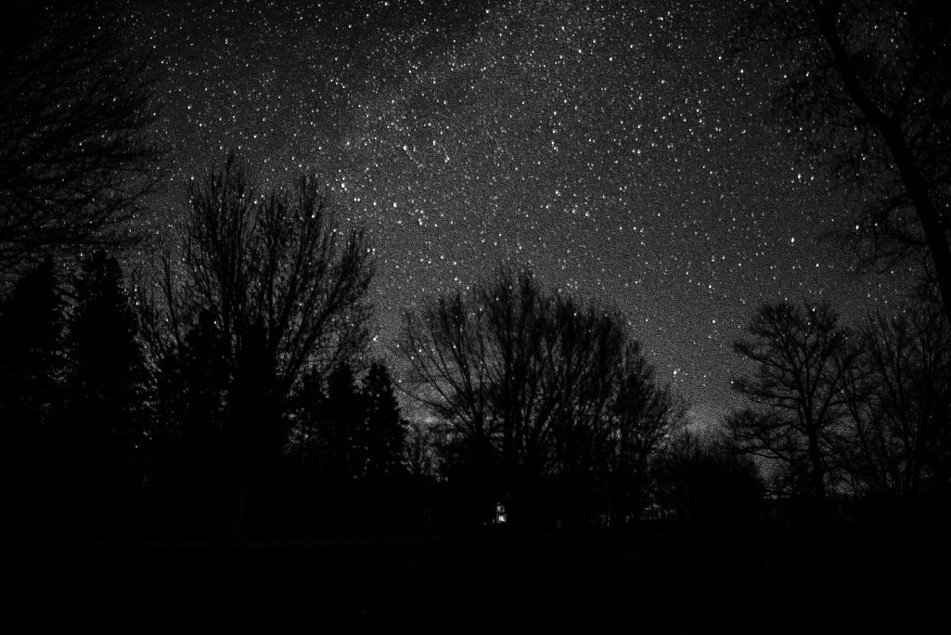 Maple-ing. The Ambiance. | Trail Baboon