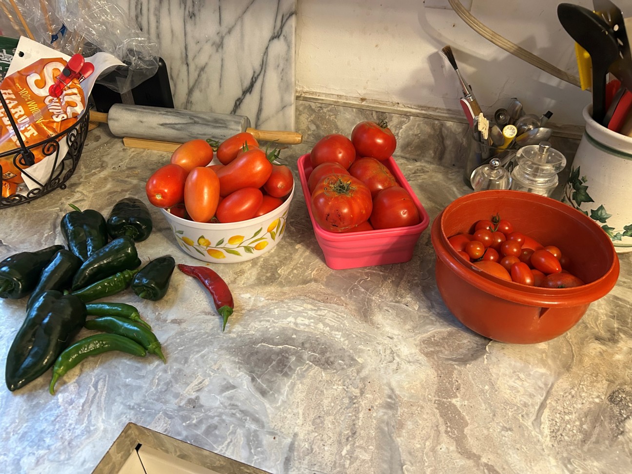 Tomato Land | Trail Baboon
