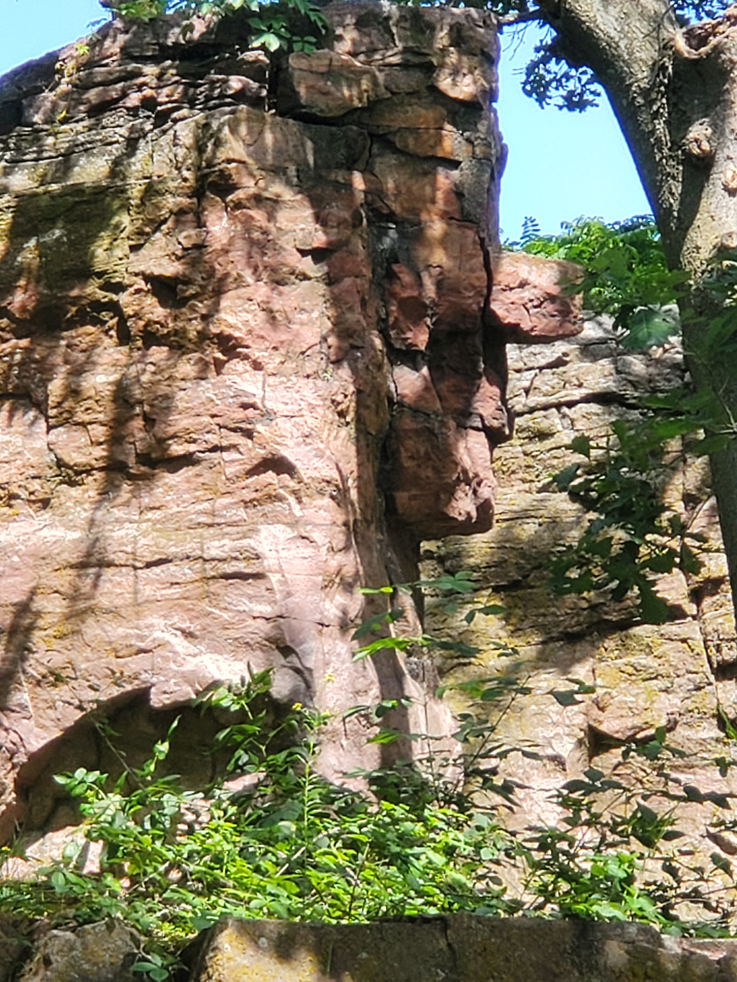 Small World | Trail Baboon